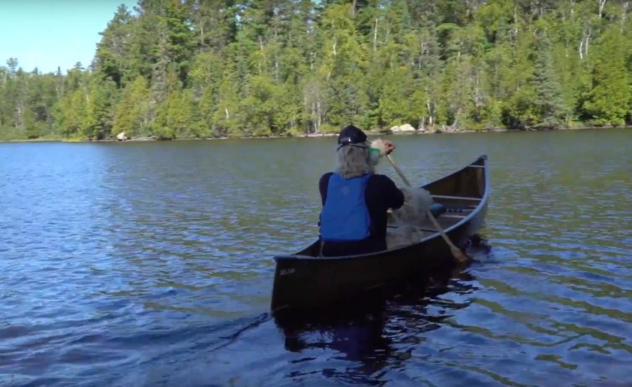 Bigfoot Goes to the Boundary Waters - Leave No Trace