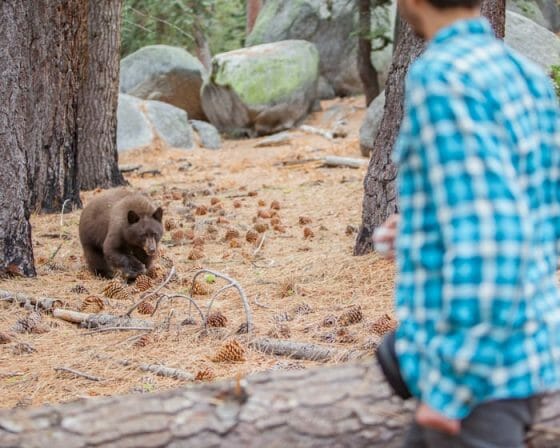 The 7 Principles - Leave No Trace Center for Outdoor Ethics