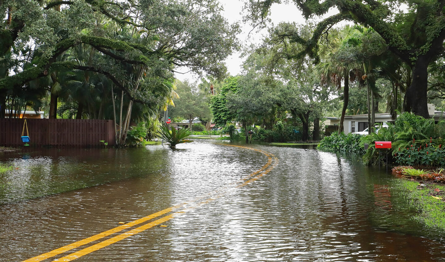 Guidance for Visiting Natural Areas After Weather Disasters - Leave No ...