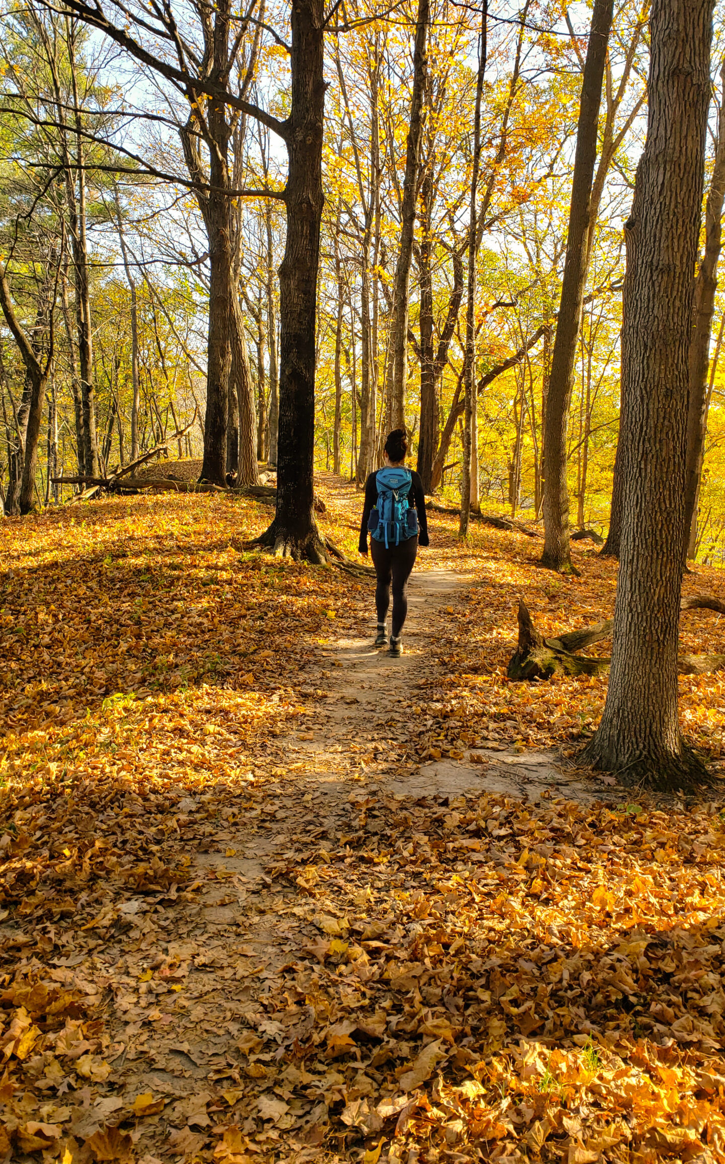 Leaf Peeping Season: How to Enjoy Fall Colors Responsibly - Leave No Trace